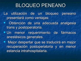 Bloqueo peneano y espinal en pediatria | PPT