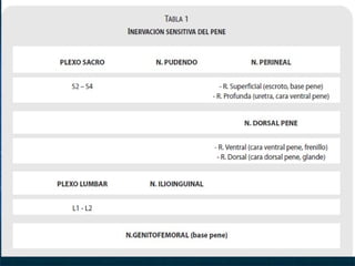 Bloqueo peneano y espinal en pediatria | PPT