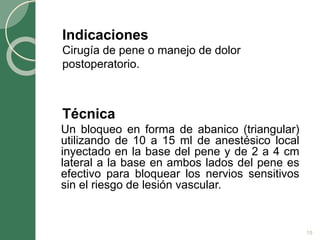Bloqueo popliteo y de pene | PPTX