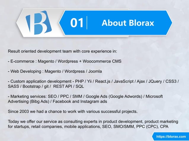 BLORAX — EFFECTIVE DIGITAL MARKETING AND DEVELOPMENT | PPT