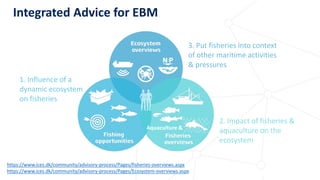 ICES journey to integrated advice for ecosystem based management | PPT