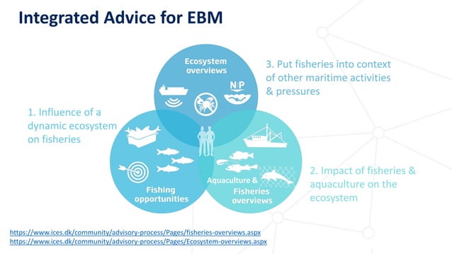 ICES journey to integrated advice for ecosystem based management | PPT