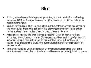 Blotting Technique | PPT