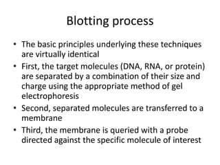Blotting Technique | PPT