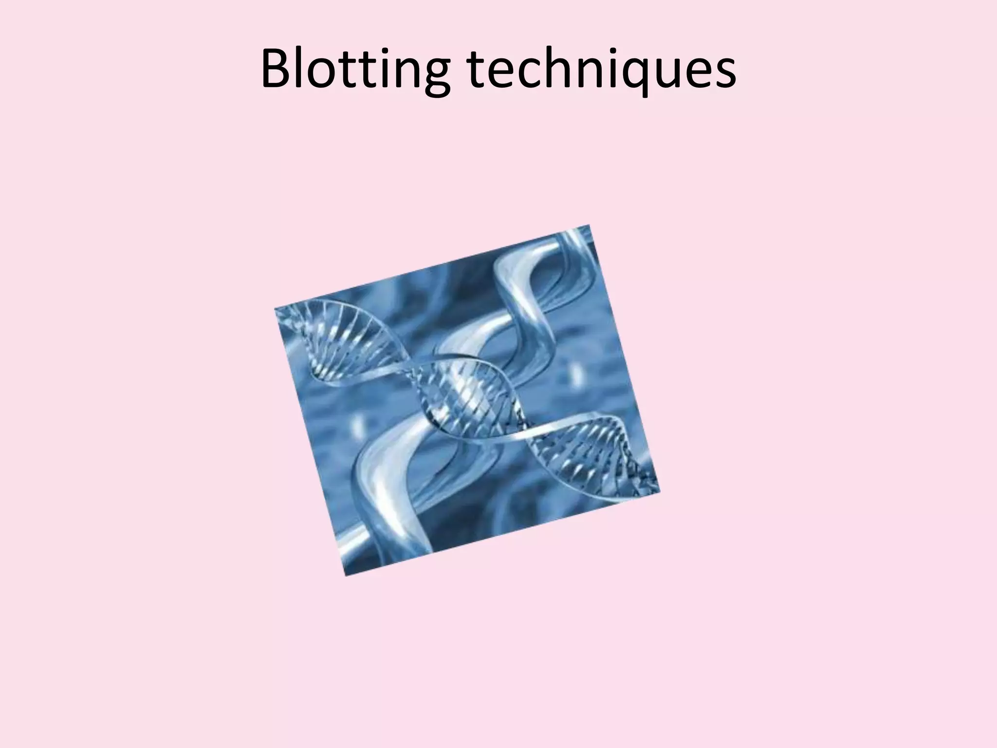 Blotting | PPTX