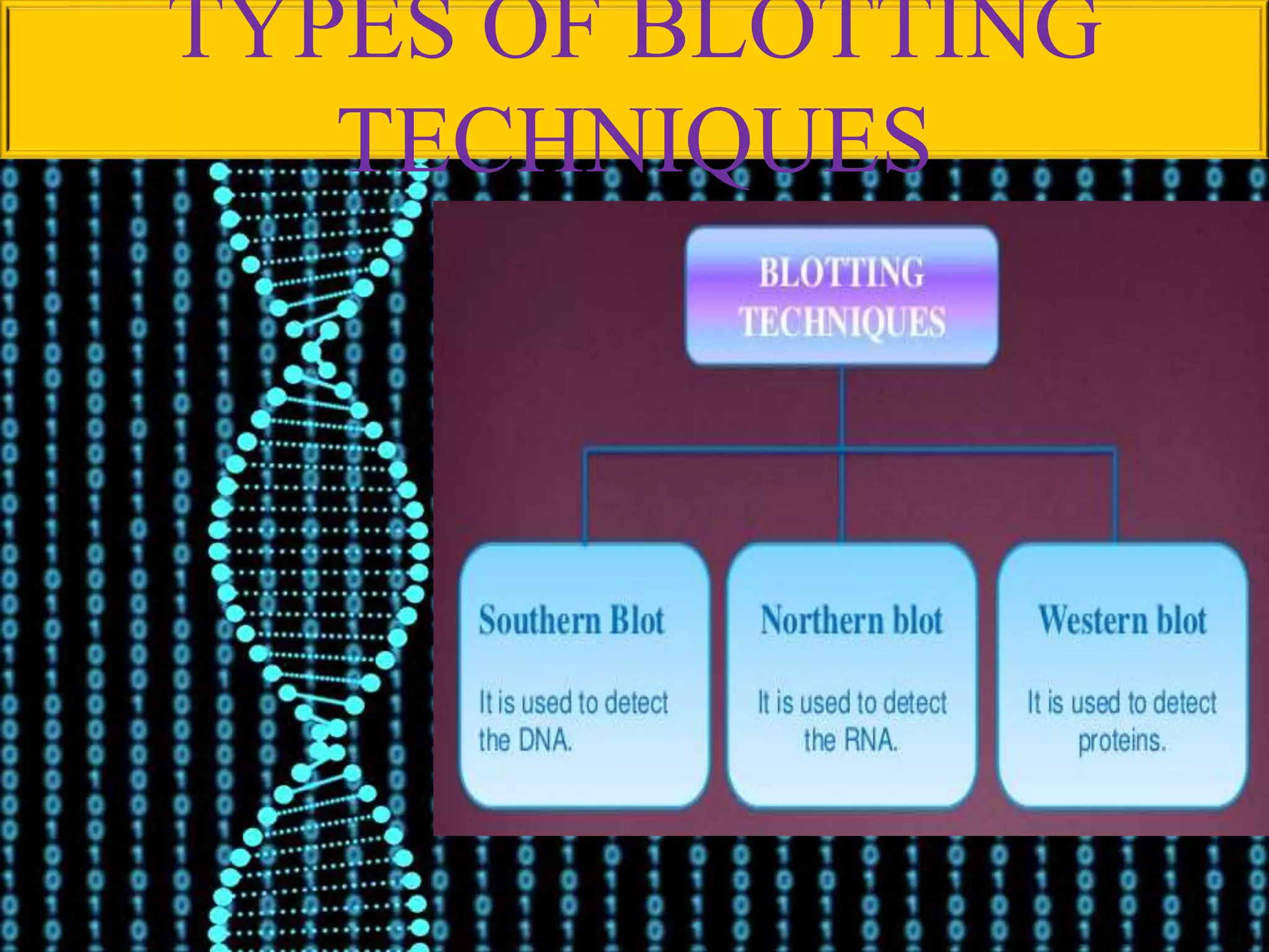 Blotting techniques | PPT