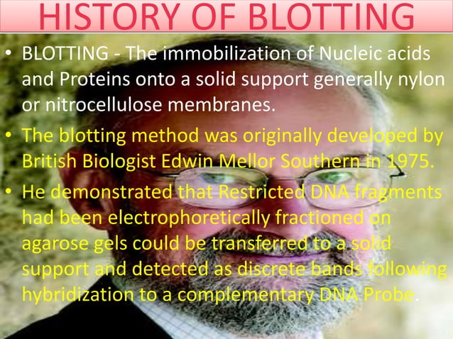 Blotting techniques | PPT