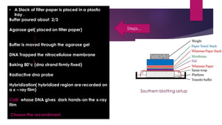 Blotting and its type | PPT