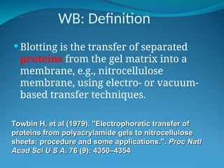 BLOTTING TECHNIQUES:SOUTHERN , WESTERN AND NORTHERN BLOTTING TECHNIQUES ...