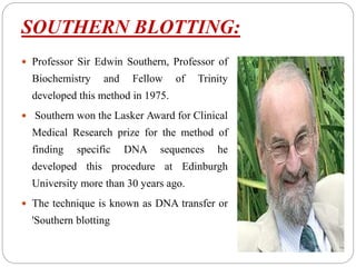 Blotting & its types | PPTX