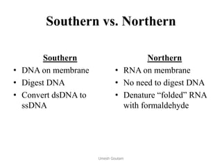 Southern, Northern and Western Blotting methods in genetic Engineering ...