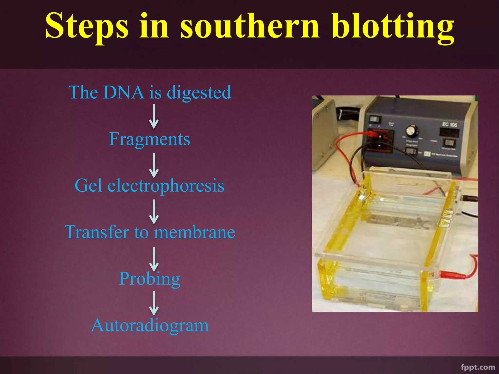 Blotting technique | PPTX | Chemistry | Science