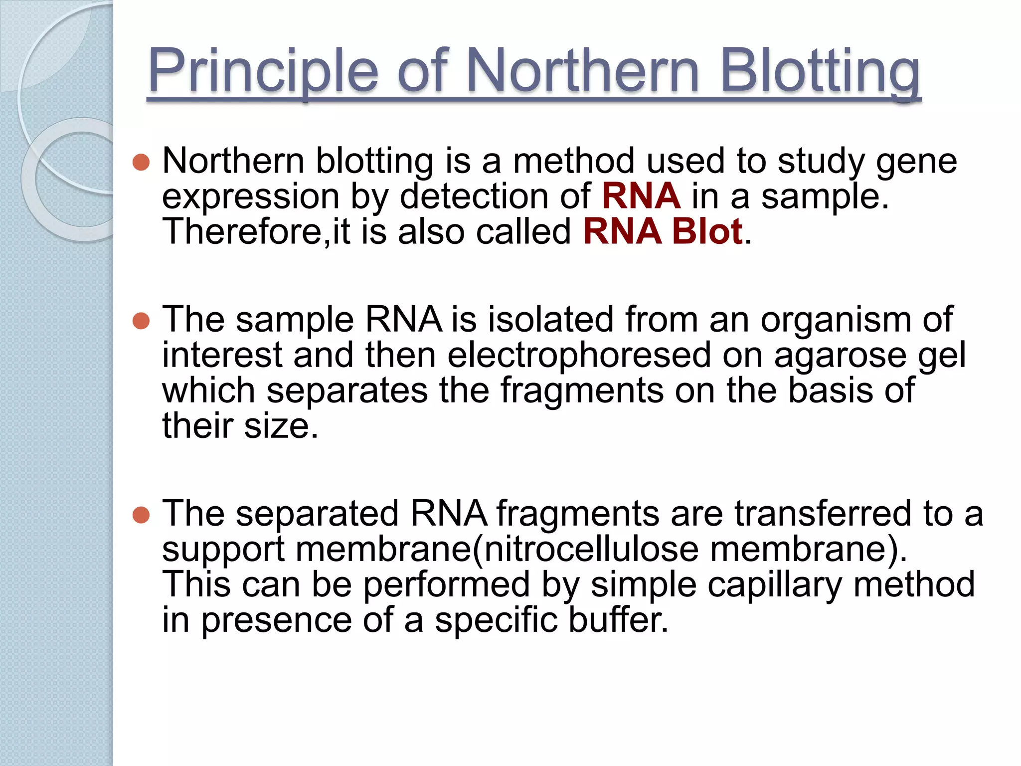Blotting technique including Southern , Northern and Western blotting ...