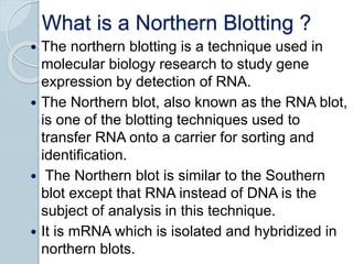 Blotting technique including Southern , Northern and Western blotting ...