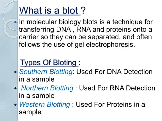 Blotting technique including Southern , Northern and Western blotting ...