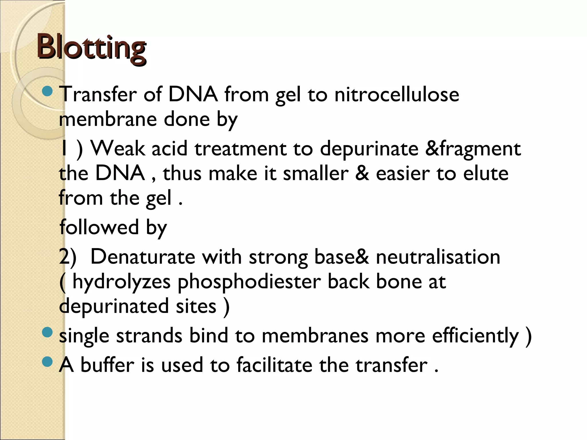 Blotting techniques | PPT
