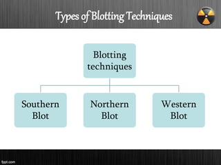 Blotting techniques | PDF