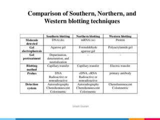 Types of different blotting techniques.pptx
