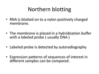 BLOTTING TECHNIQUES FOR RNA, DNA AND PROTEINS.pptx