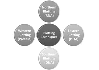 Blotting Techniques-Southern, Northern & Western Blotting.pdf