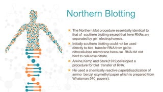 Blotting techniques dr.raza
