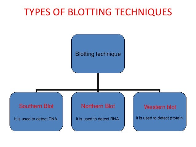 Blotting techniques1