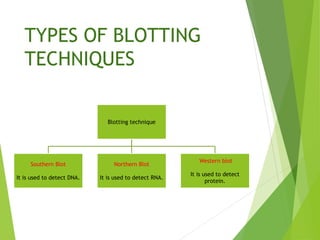Blotting techniques1 | PPTX