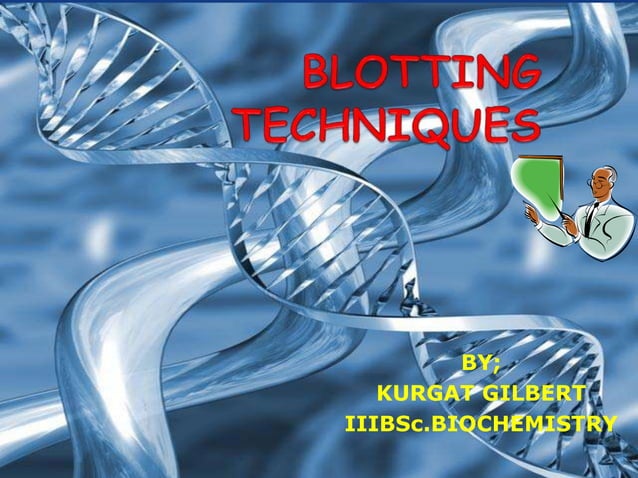 Blotting Techniques | PPTX | Chemistry | Science