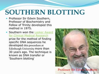 Blotting Techniques | PPTX