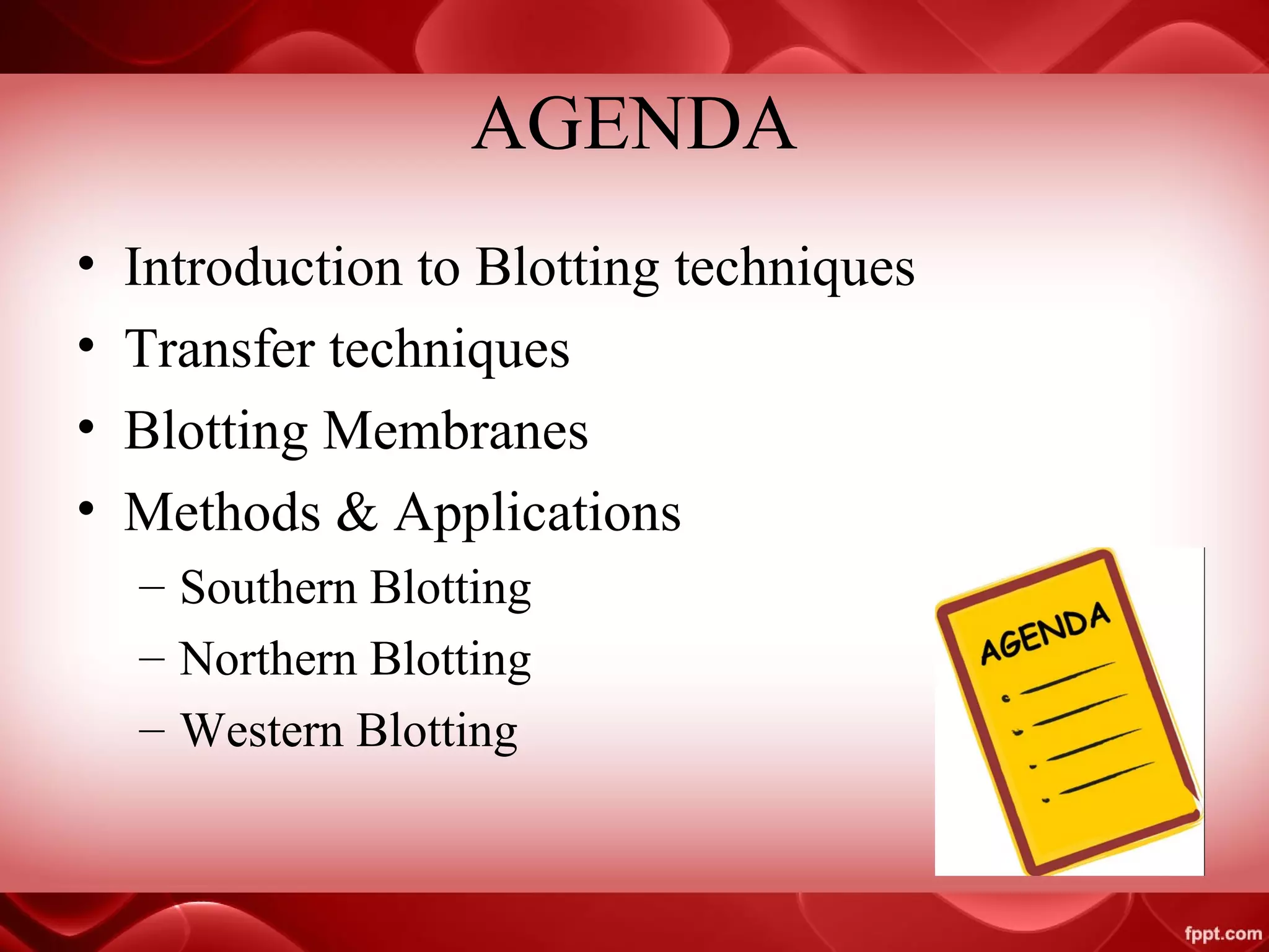 Blotting techniques in Biotechnology | PPT