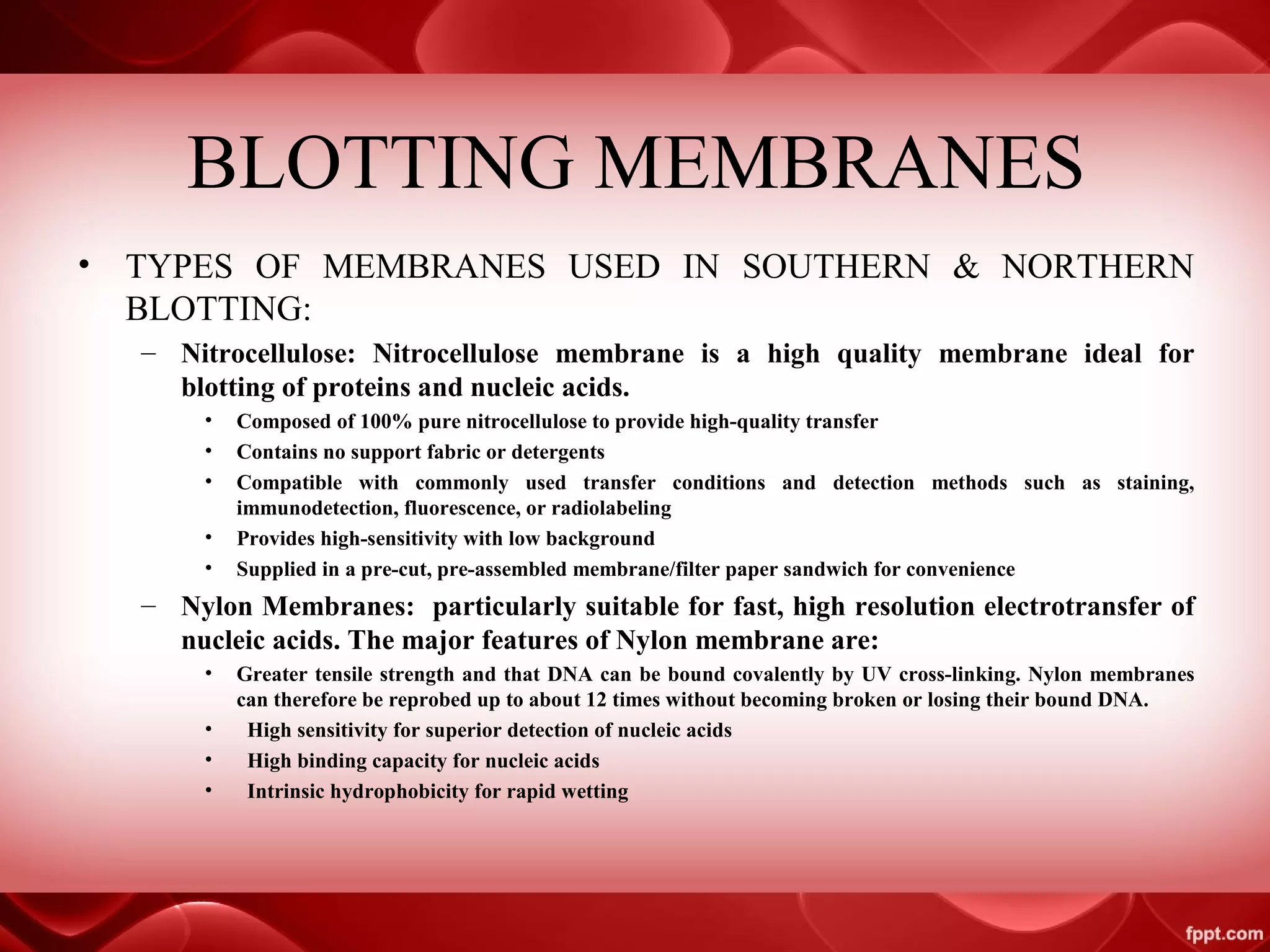 Blotting techniques in Biotechnology | PPT