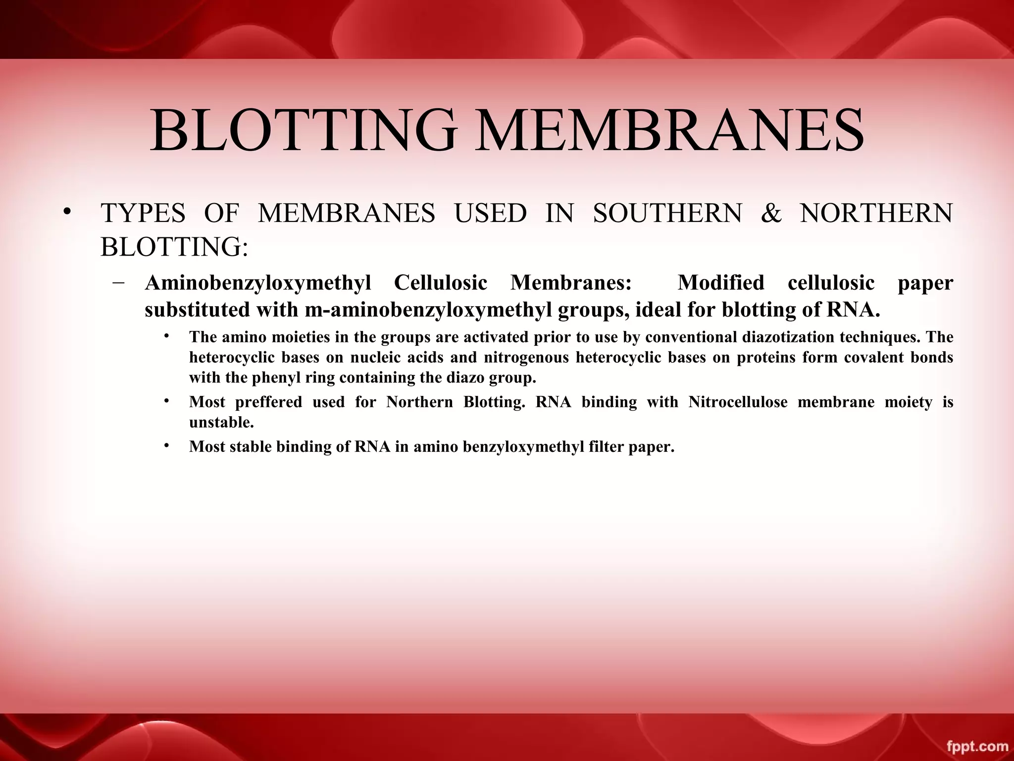 Blotting techniques in Biotechnology | PPT