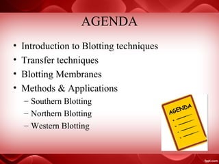 Blotting techniques in Biotechnology | PPT