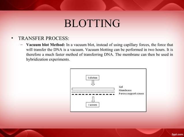 Blotting techniques in Biotechnology | PPT | Chemistry | Science