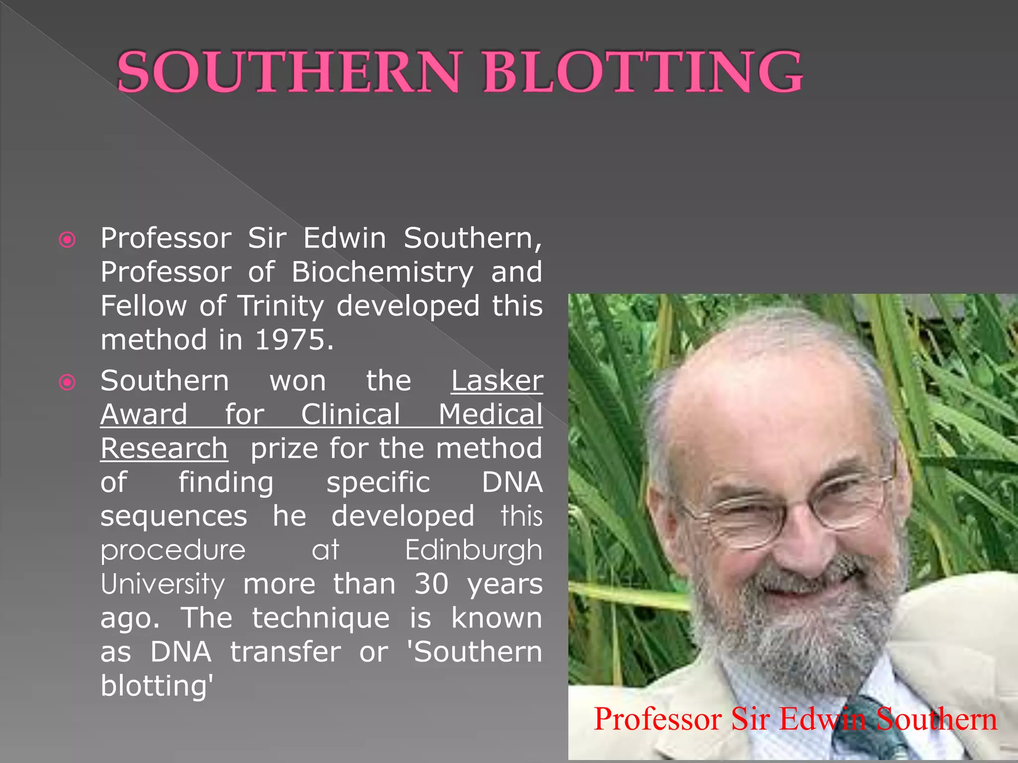 Blotting techniques (manish) | PPTX