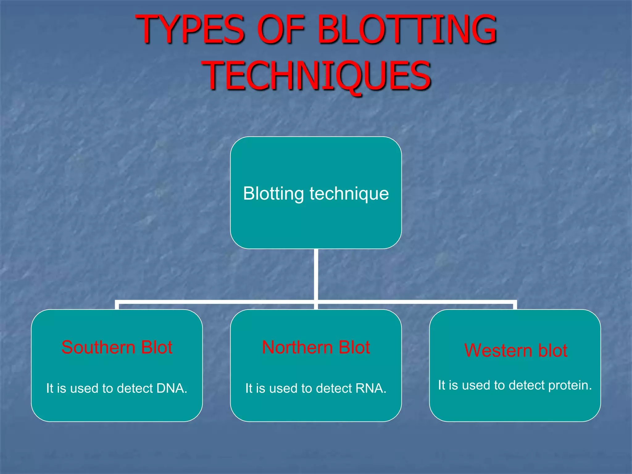 Blotting techniques ppt | PPTX