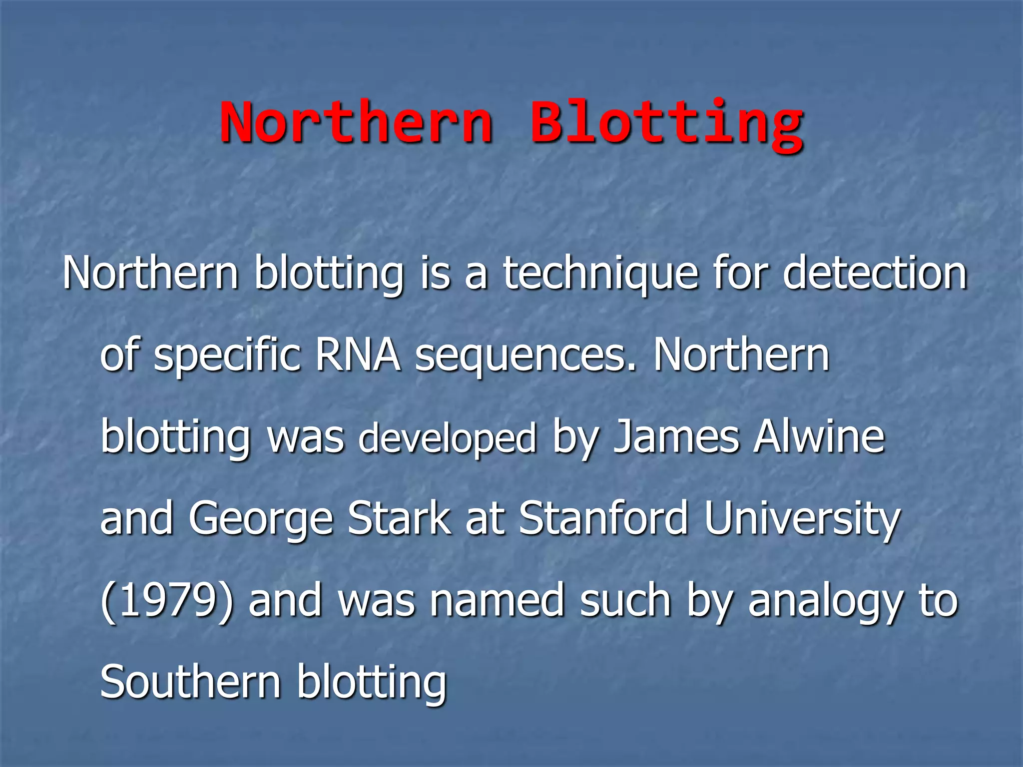 Blotting techniques ppt | PPTX