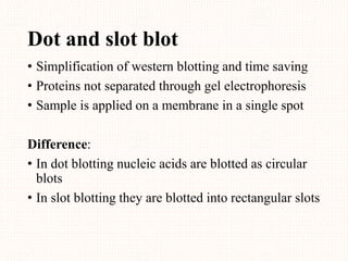 Blotting techniques ppt- finalpptxfinal.pptx