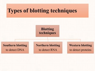 Blotting techniques ppt- finalpptxfinal.pptx