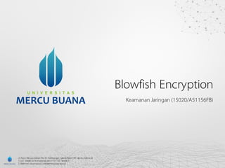 Blowfish Encryption Presentation | PDF