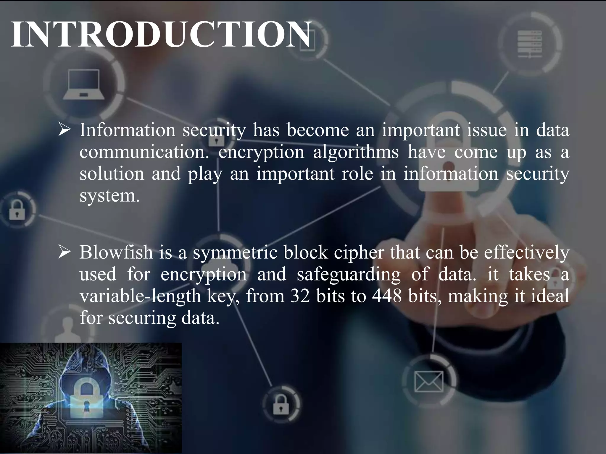 Blow fish final ppt | PPTX | Computing | Technology & Computing