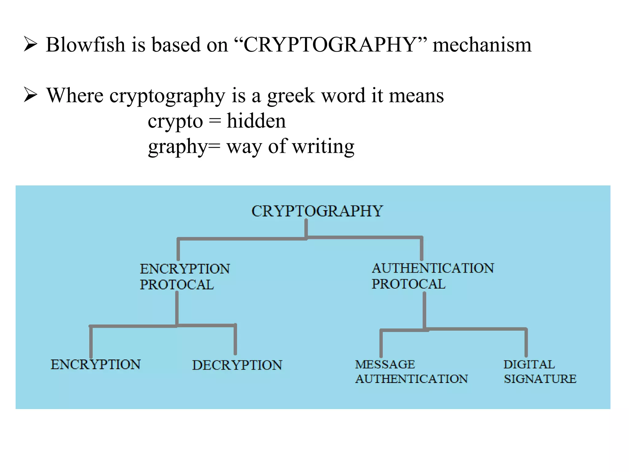 Blow fish final ppt | PPTX | Computing | Technology & Computing