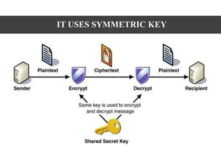 Blow fish final ppt | PPTX