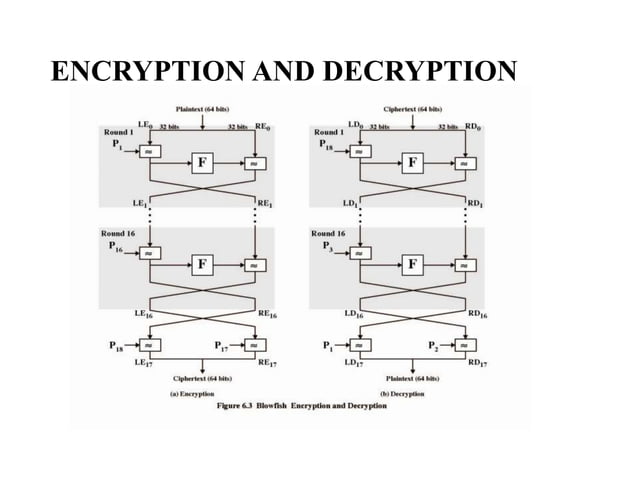 Blow fish final ppt | PPTX | Computing | Technology & Computing