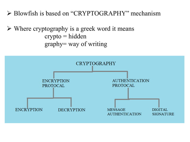 Blow fish final ppt | PPTX | Computing | Technology & Computing