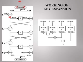 Blow fish final ppt | PPTX