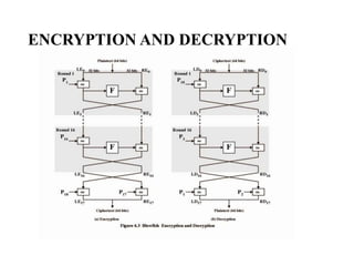 Blow fish final ppt | PPT