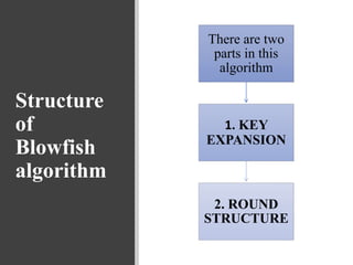 Blow fish final ppt | PPT