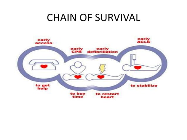 Basic Life Support | PPTX | First Aid | Injuries