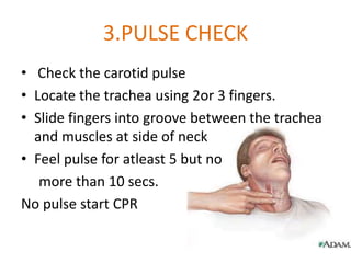 Basic Life Support | PPTX